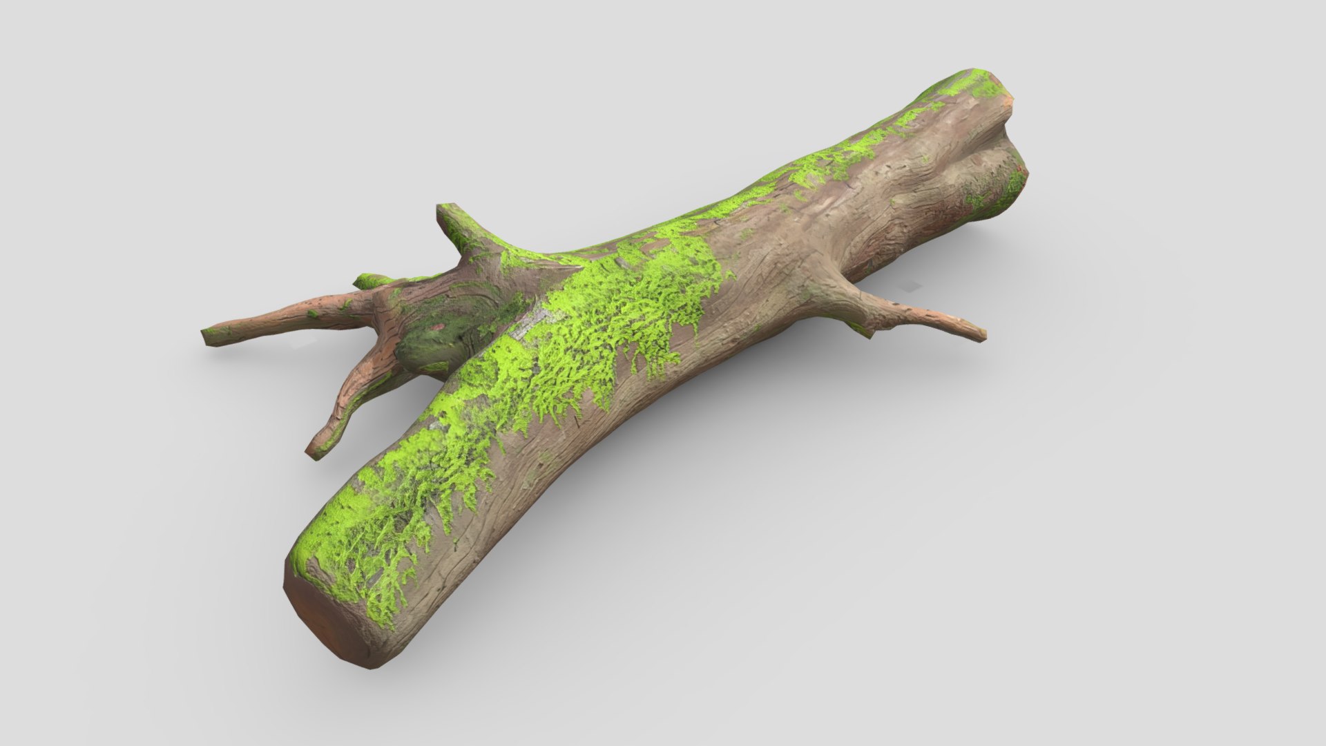 3D Fallen Tree 2 - TurboSquid 2248718