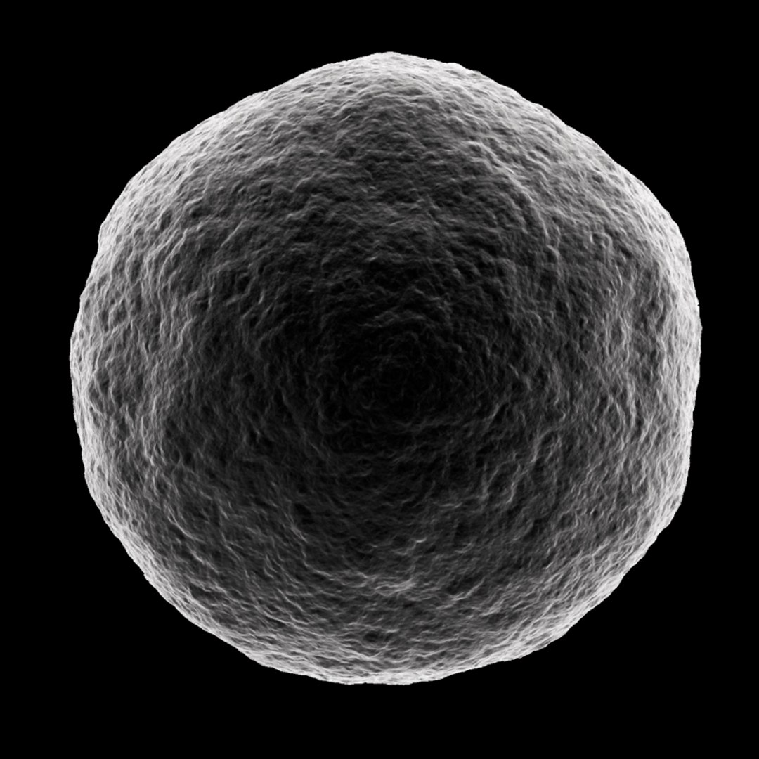 Ovum Electron Microscope 3d Max
