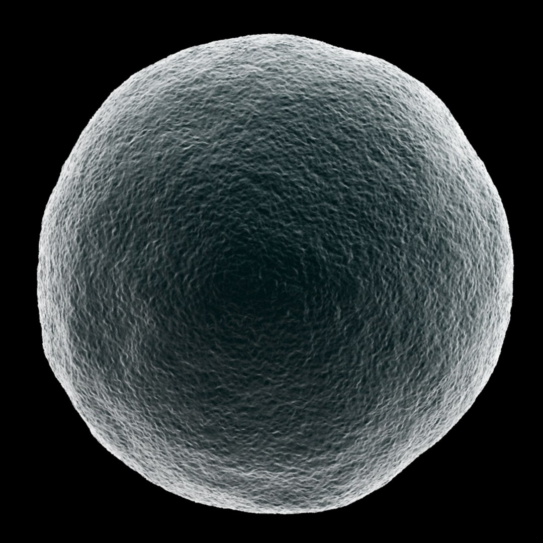 Ovum Electron Microscope 3d Max