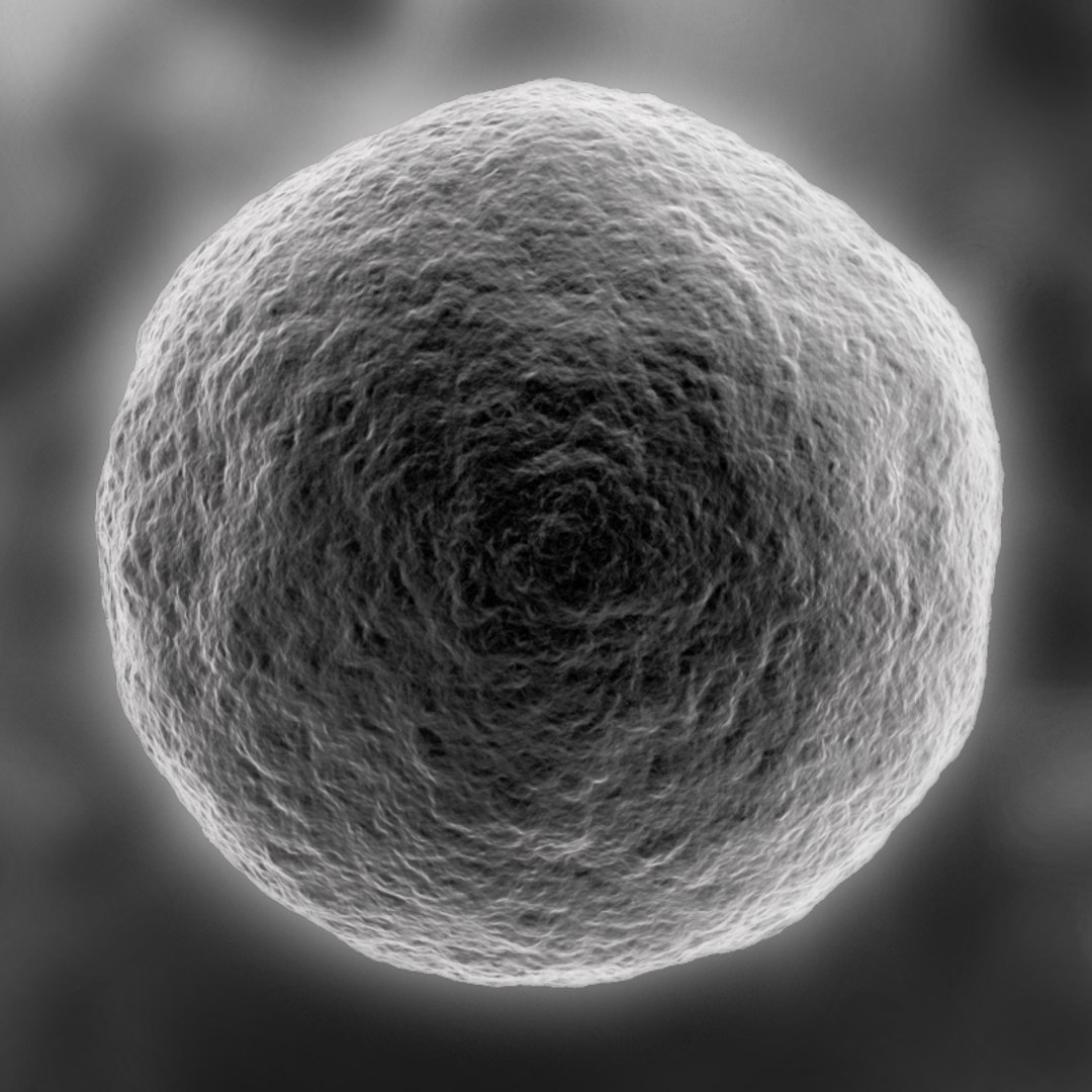 Ovum Electron Microscope 3d Max