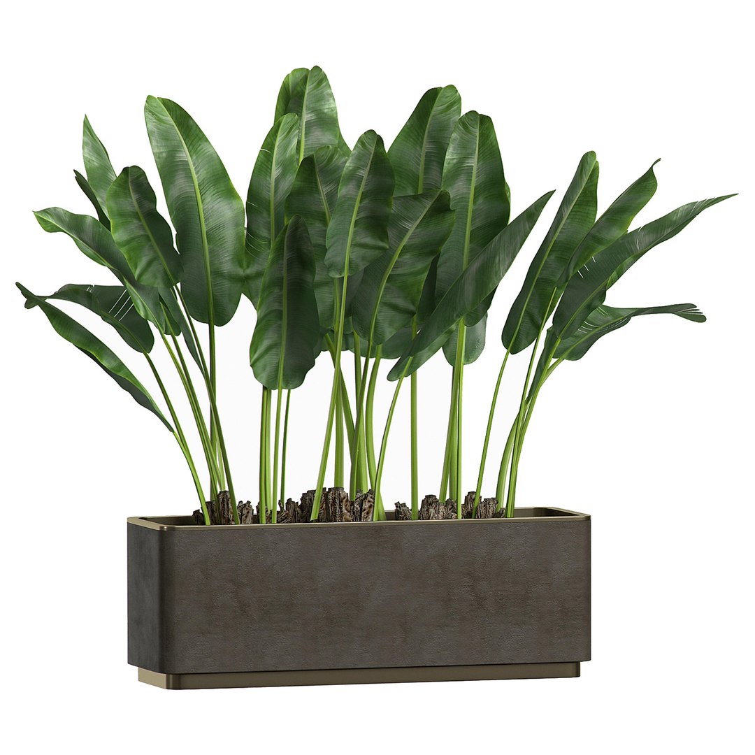 Set palm trees pots 3D model - TurboSquid 1558824