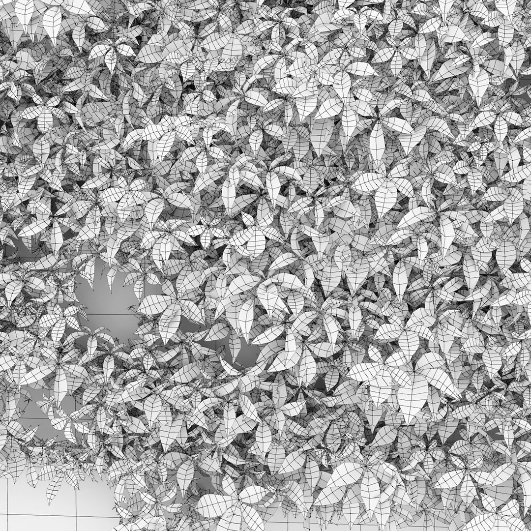 3D Virginia Creeper Collection Model - TurboSquid 1821243