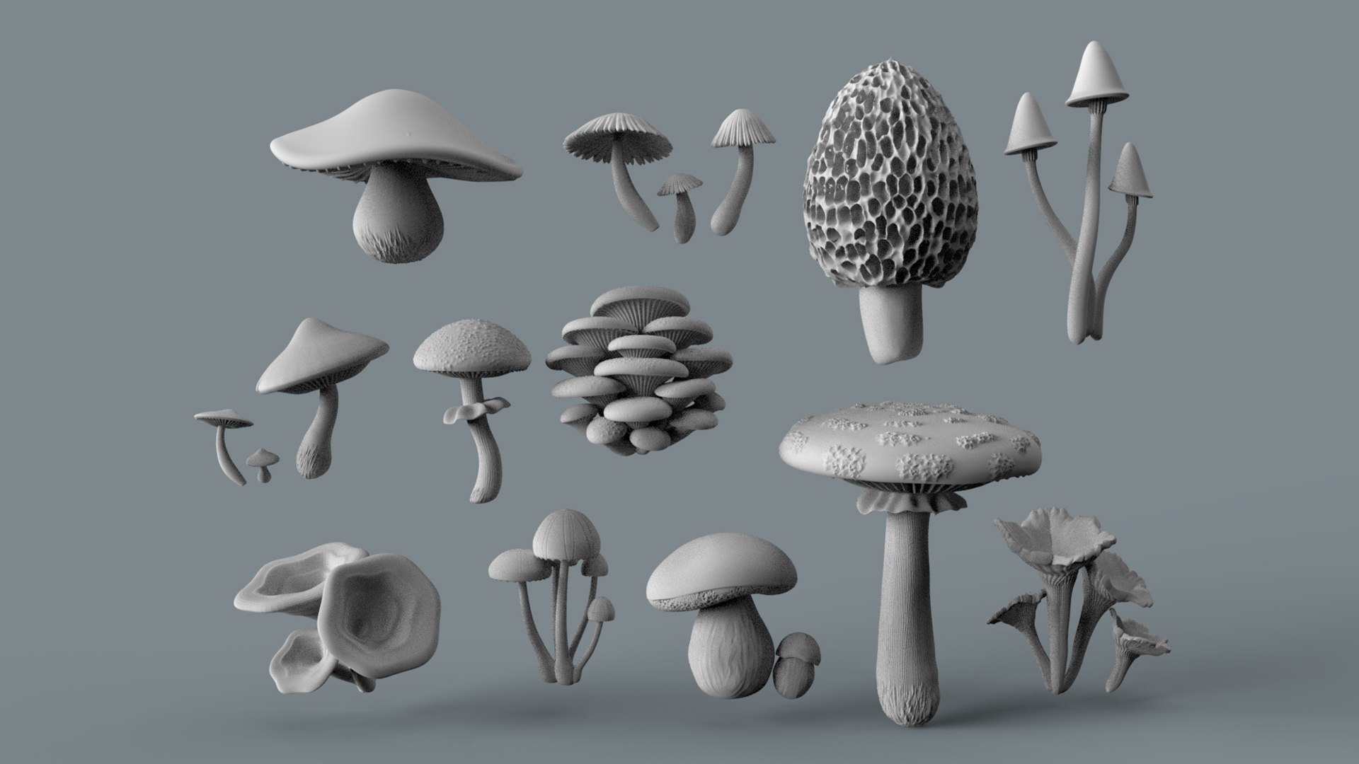 3D Mushrooms Model - TurboSquid 2262619