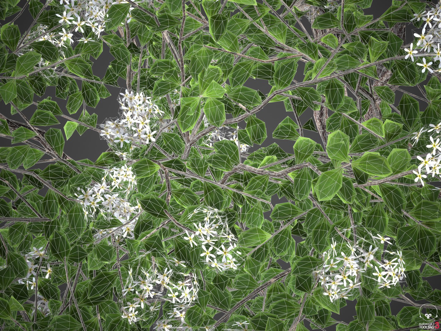 3D XfrogPlants Serviceberry - Amelanchier Lamarckii - TurboSquid 1724747