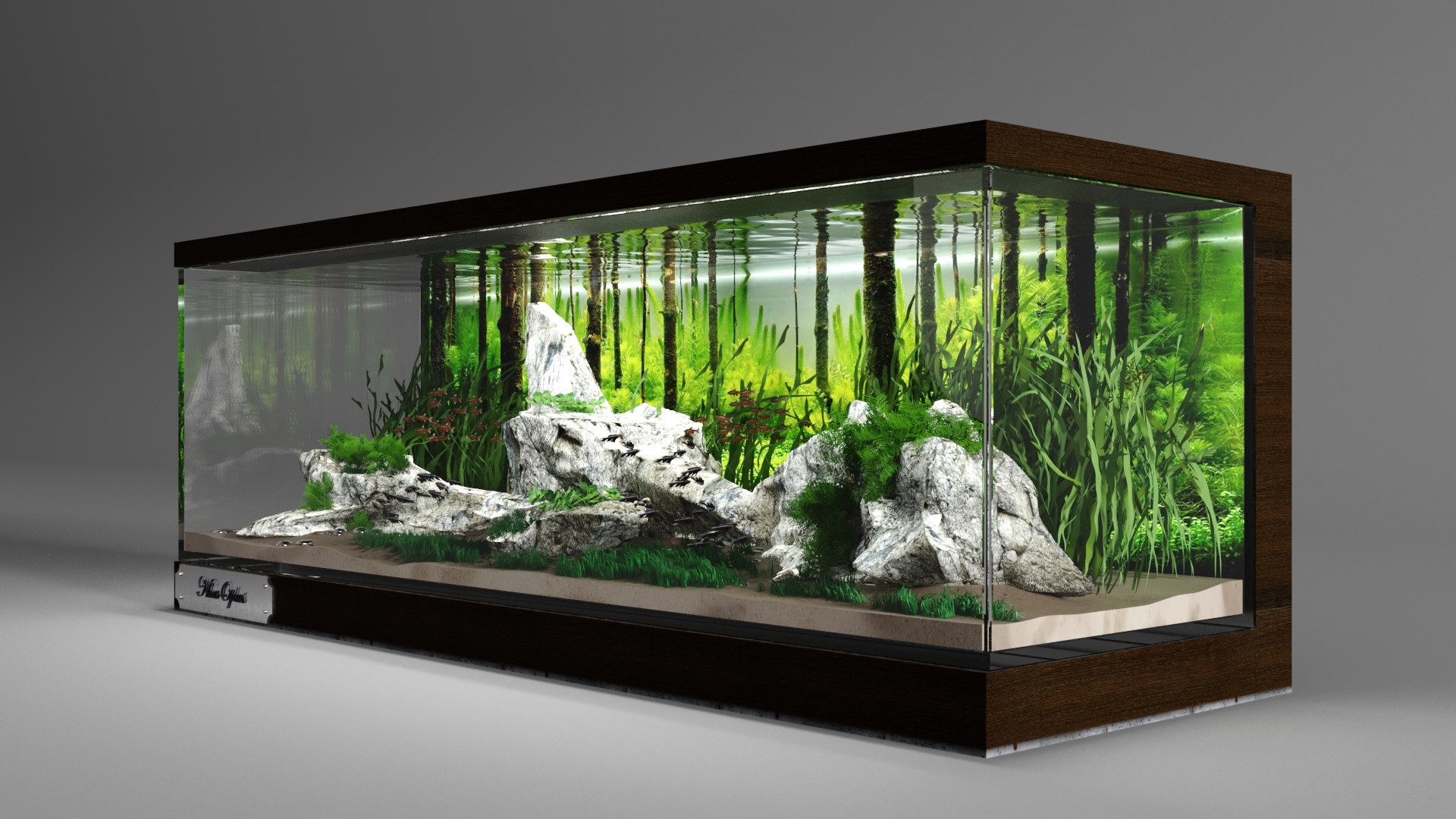 3D Compact Home Aquarium - Miniature Aquatic Ecosystem Model - 3 ...