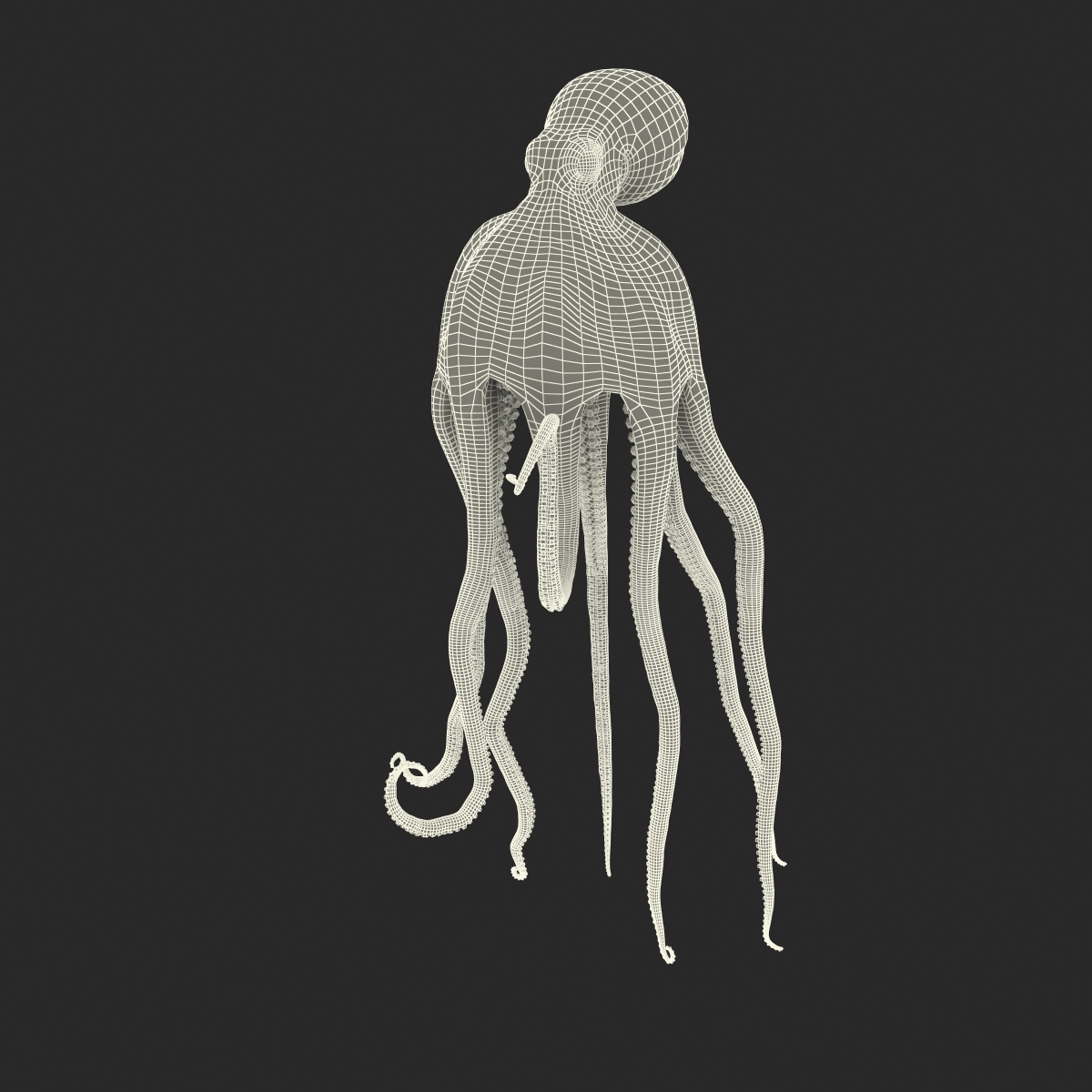 Octopus vulgaris swiming pose 3D - TurboSquid 1152270