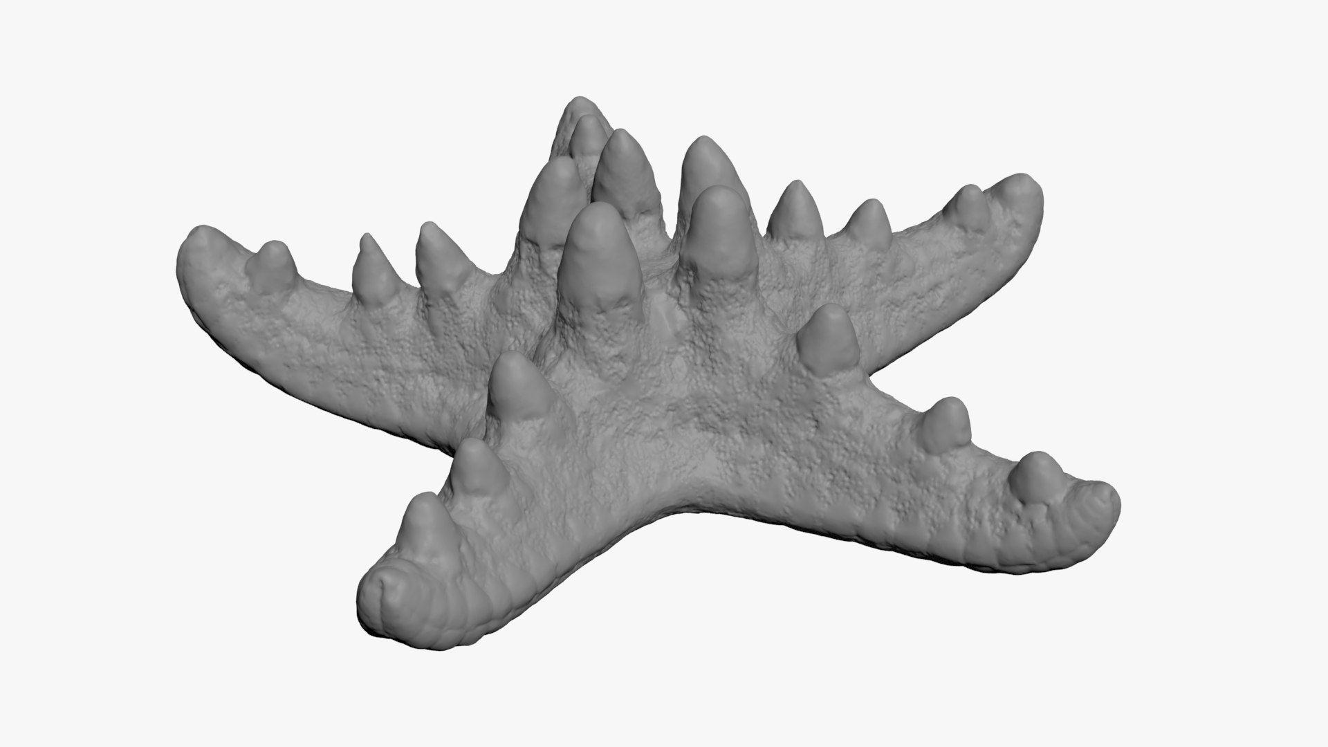 3D Knobby Starfish 3D Print Model - TurboSquid 2295242