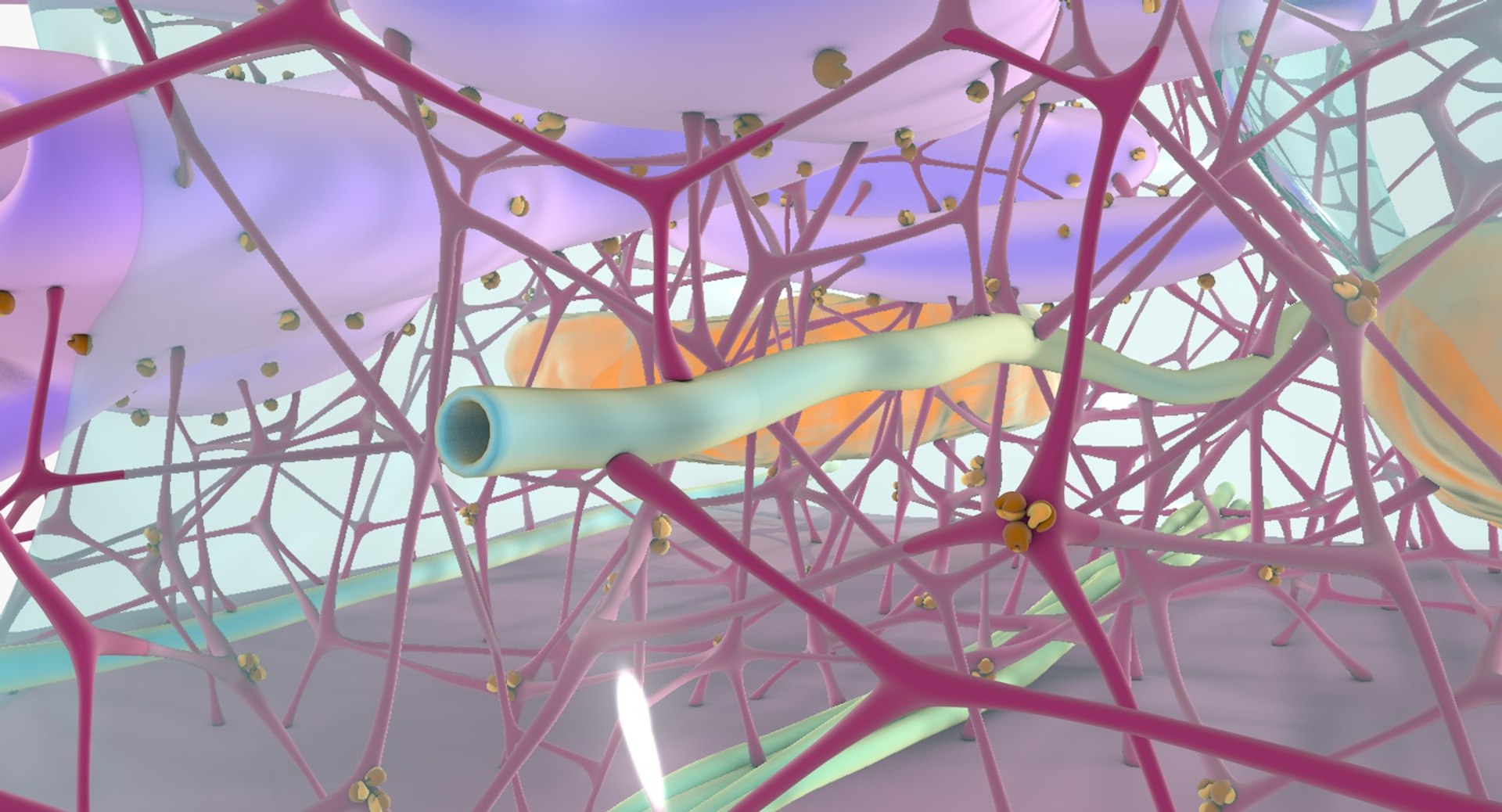 3D cytoskeleton structure cell - TurboSquid 1295229