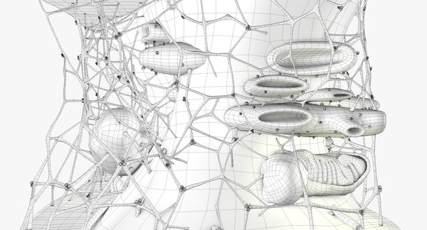 modelo 3d Citoesqueleto - TurboSquid 1295229