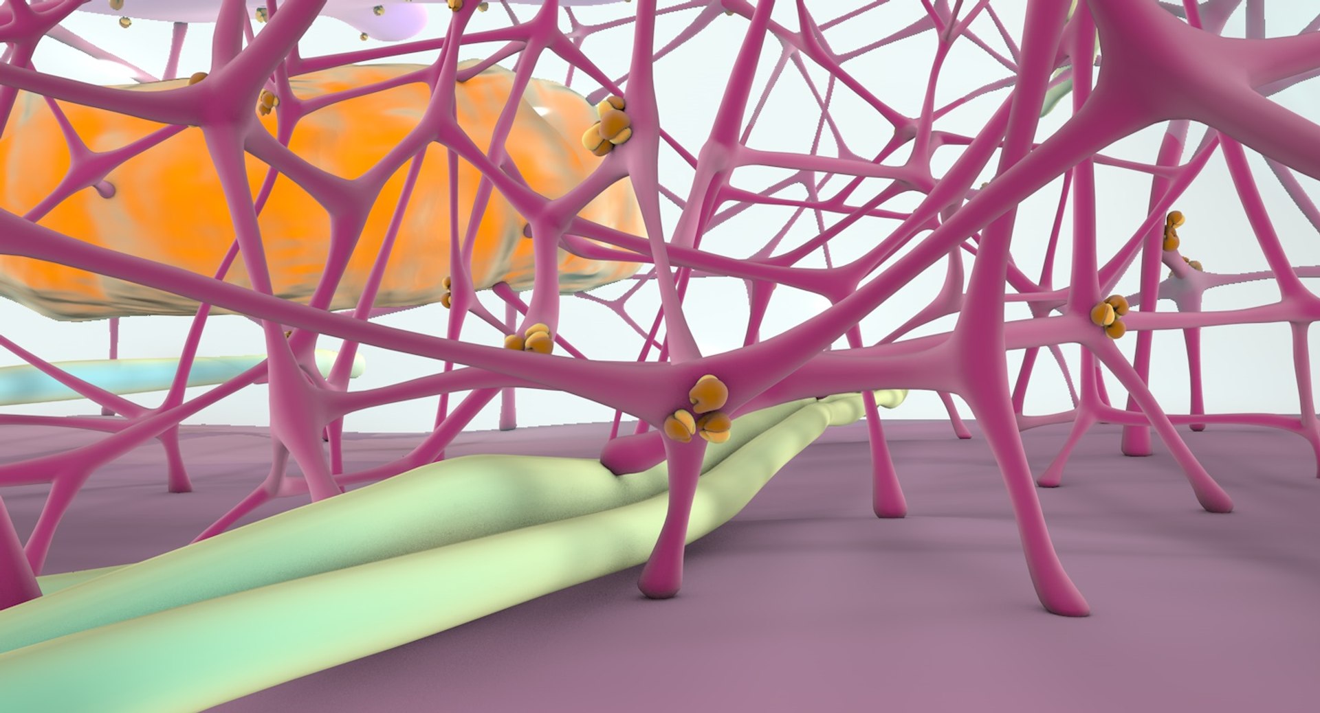 3D cytoskeleton structure cell - TurboSquid 1295229