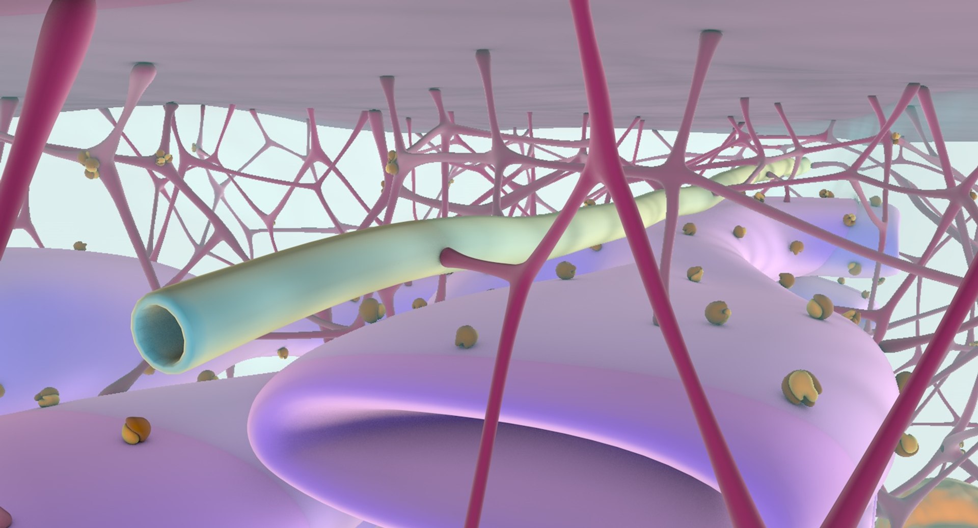 3D cytoskeleton structure cell - TurboSquid 1295229