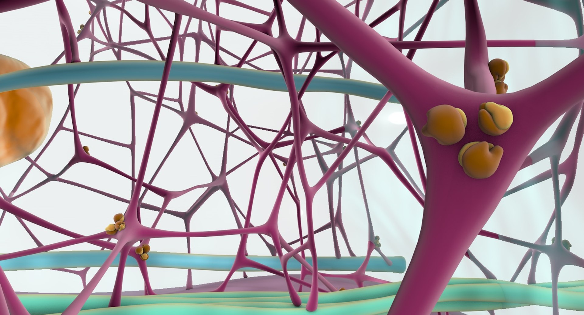 3D cytoskeleton structure cell - TurboSquid 1295229