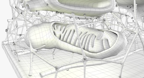 세포 골격 3D 모델 - TurboSquid 1295229