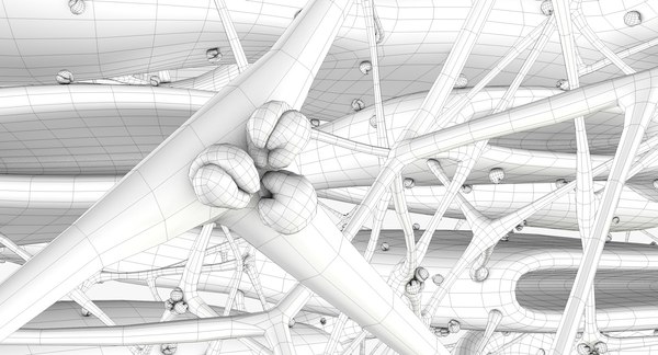 modelo 3d Citoesqueleto - TurboSquid 1295229