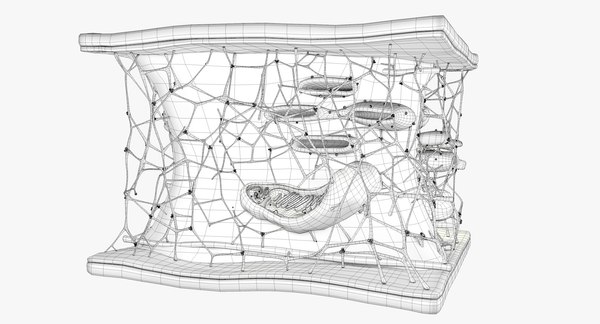 세포 골격 3D 모델 - TurboSquid 1295229