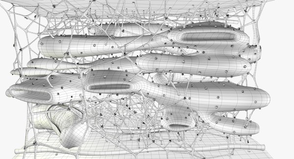 modelo 3d Citoesqueleto - TurboSquid 1295229