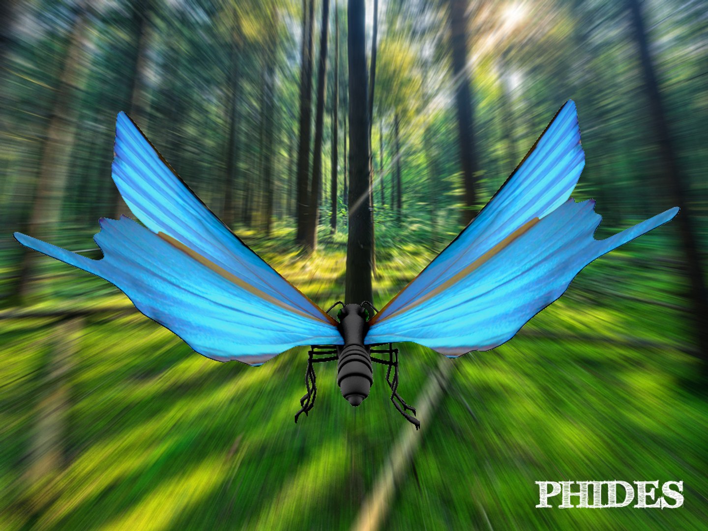 3D Butterfly Fly - TurboSquid 1157975