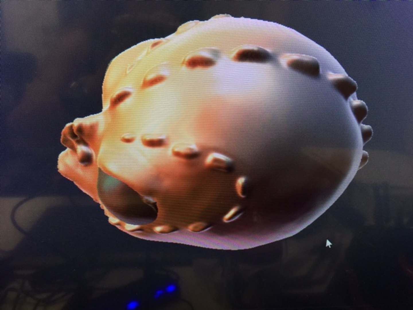 3d Model Modeled Alien Head