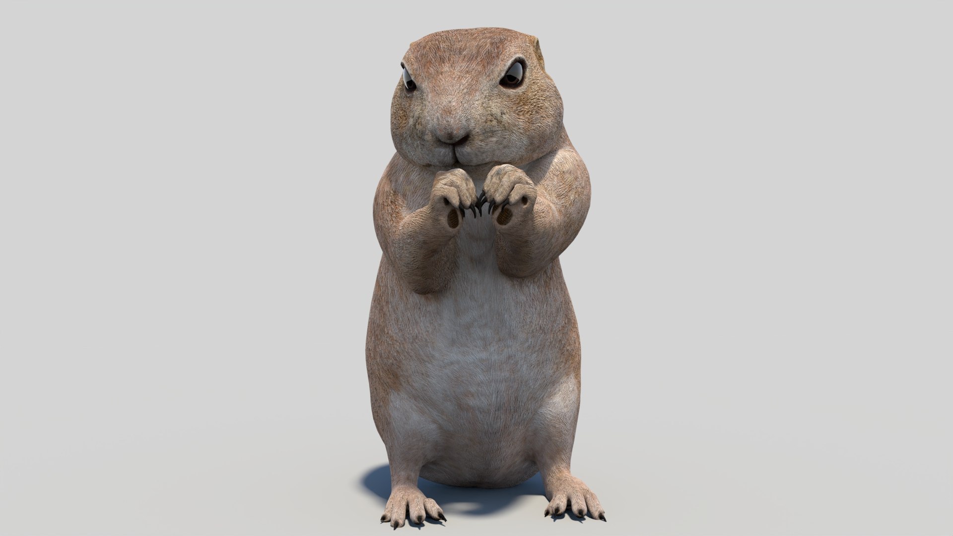 3D Animated Prairie Dog 3D Model - TurboSquid 2276018