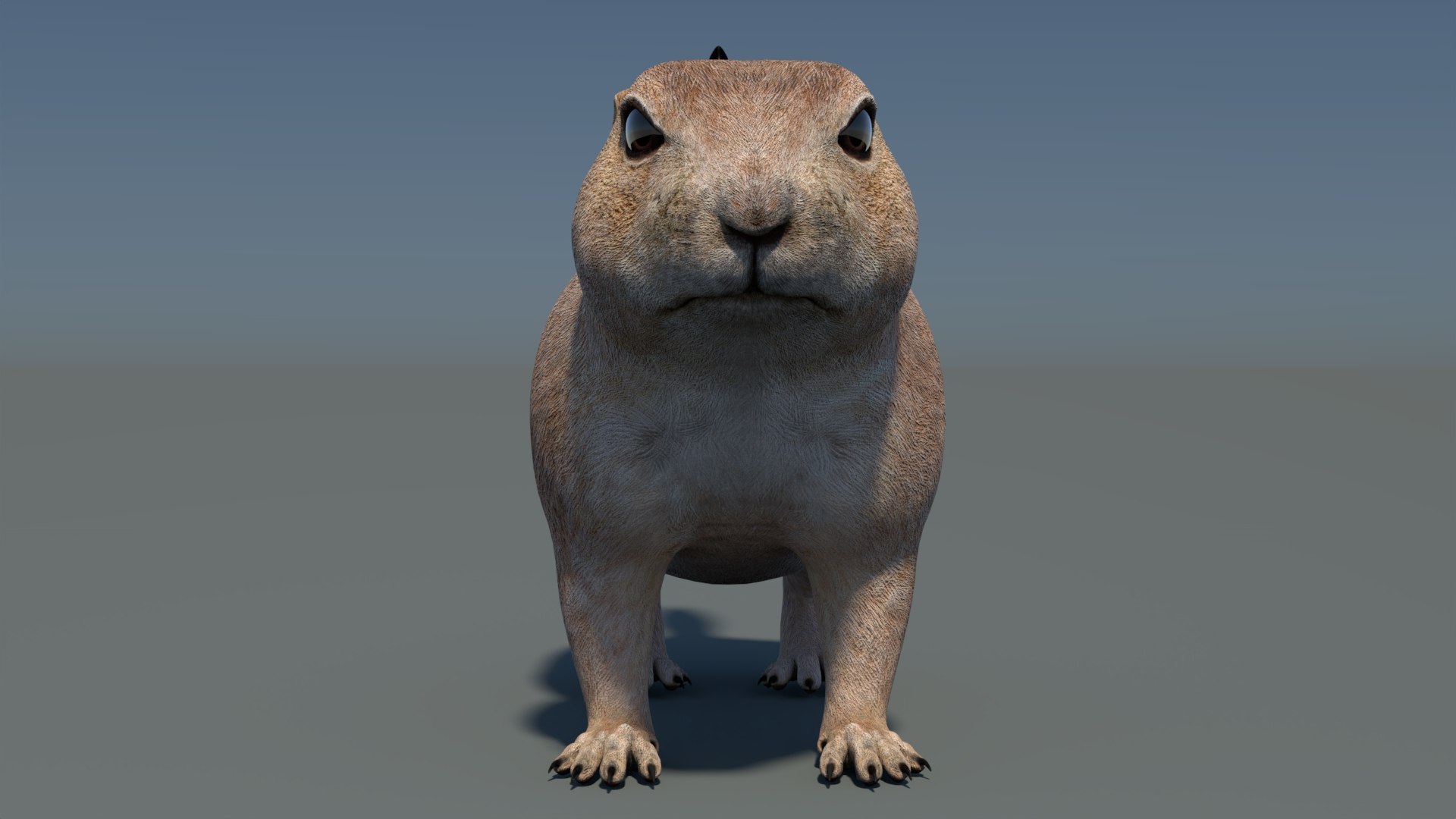 3D Animated Prairie Dog 3D Model - TurboSquid 2276018