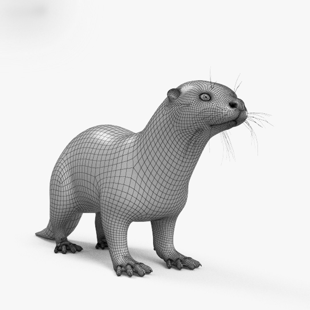 Otter European 3D Model - TurboSquid 1420444