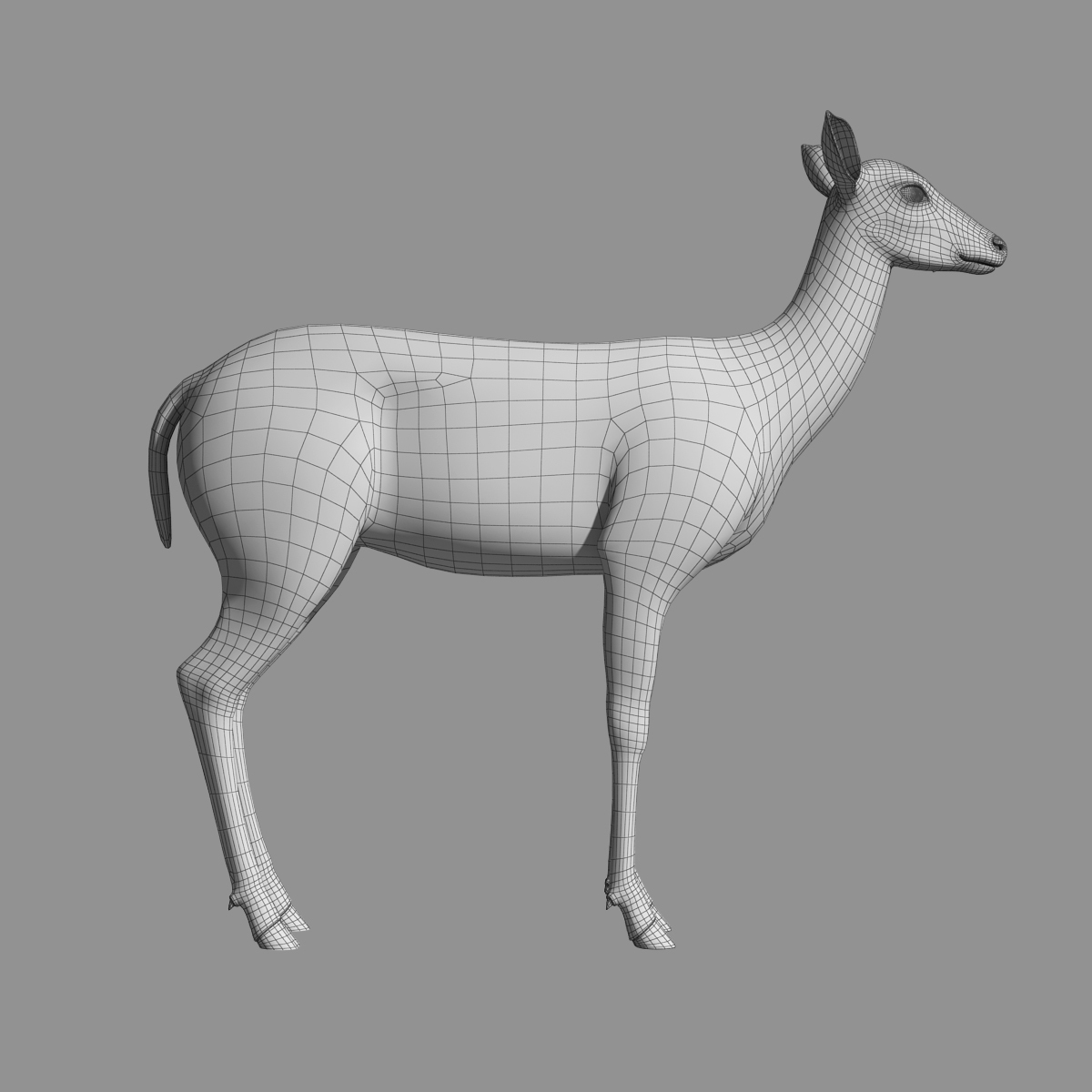 white tailed doe fur max