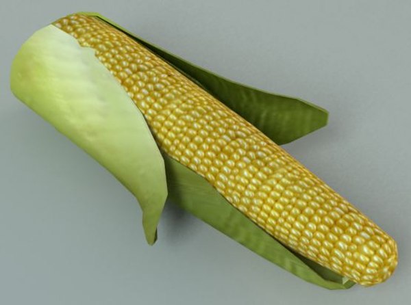 3d model corn cob