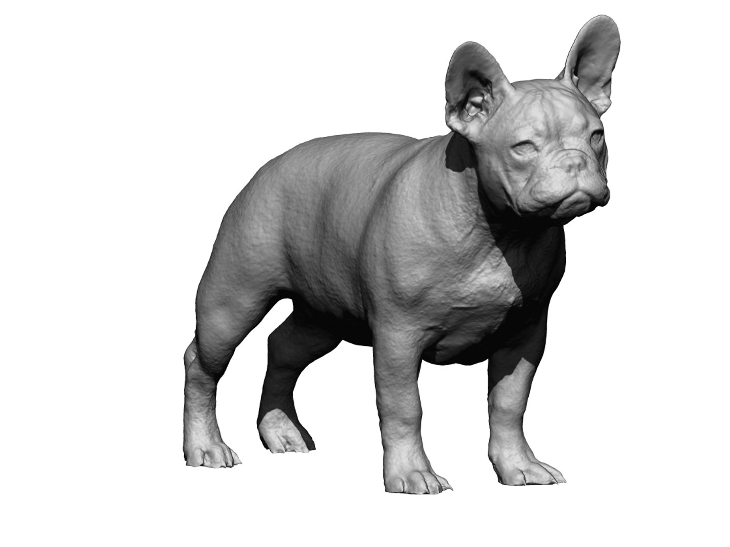 3D Dog Scanned Photogrammetry Model - TurboSquid 1349098