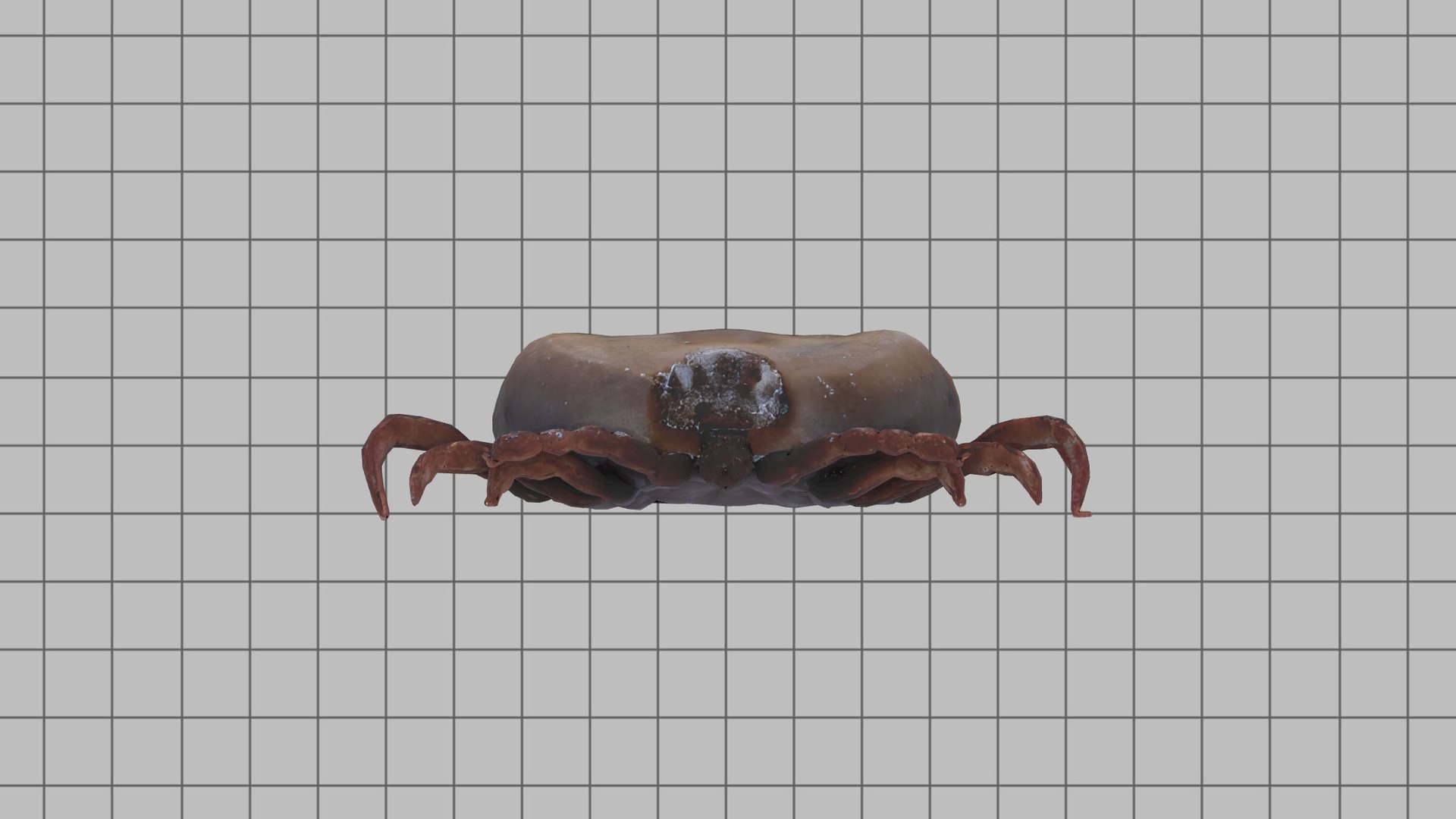 Tick 3D Model - TurboSquid 2388131