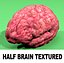 3d 3ds Half Brain