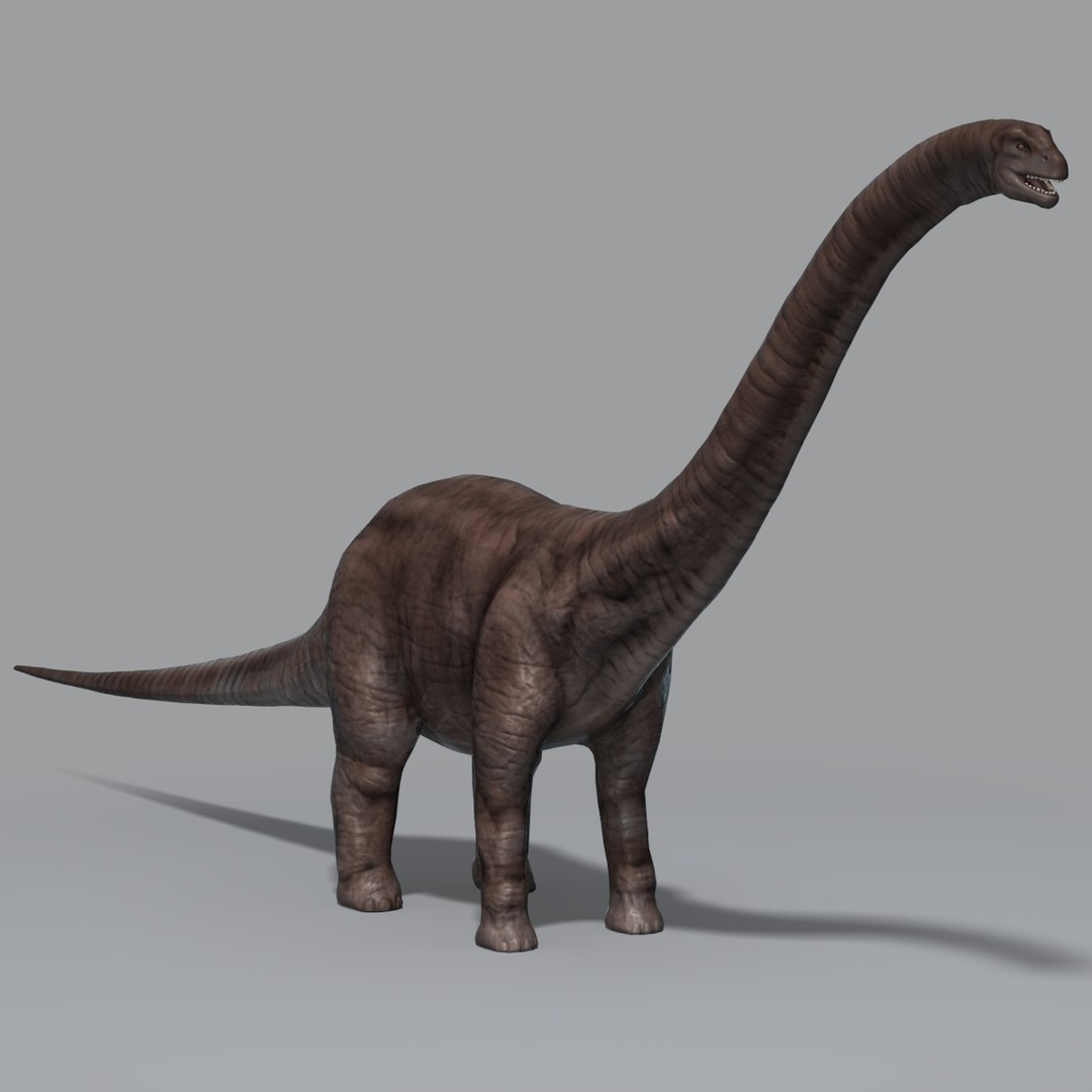 Brontosaurus Sauropod Herbivorous Max