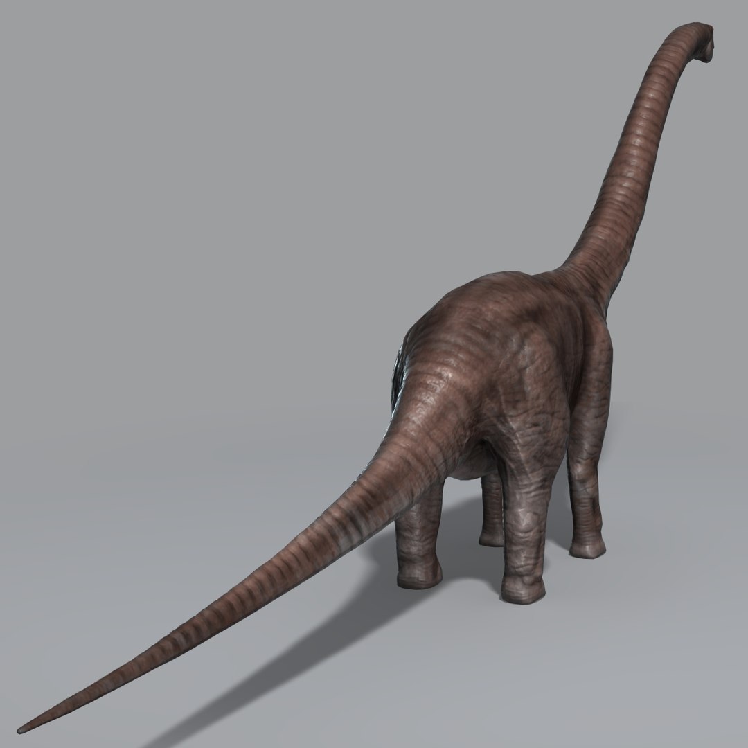 Brontosaurus Sauropod Herbivorous Max