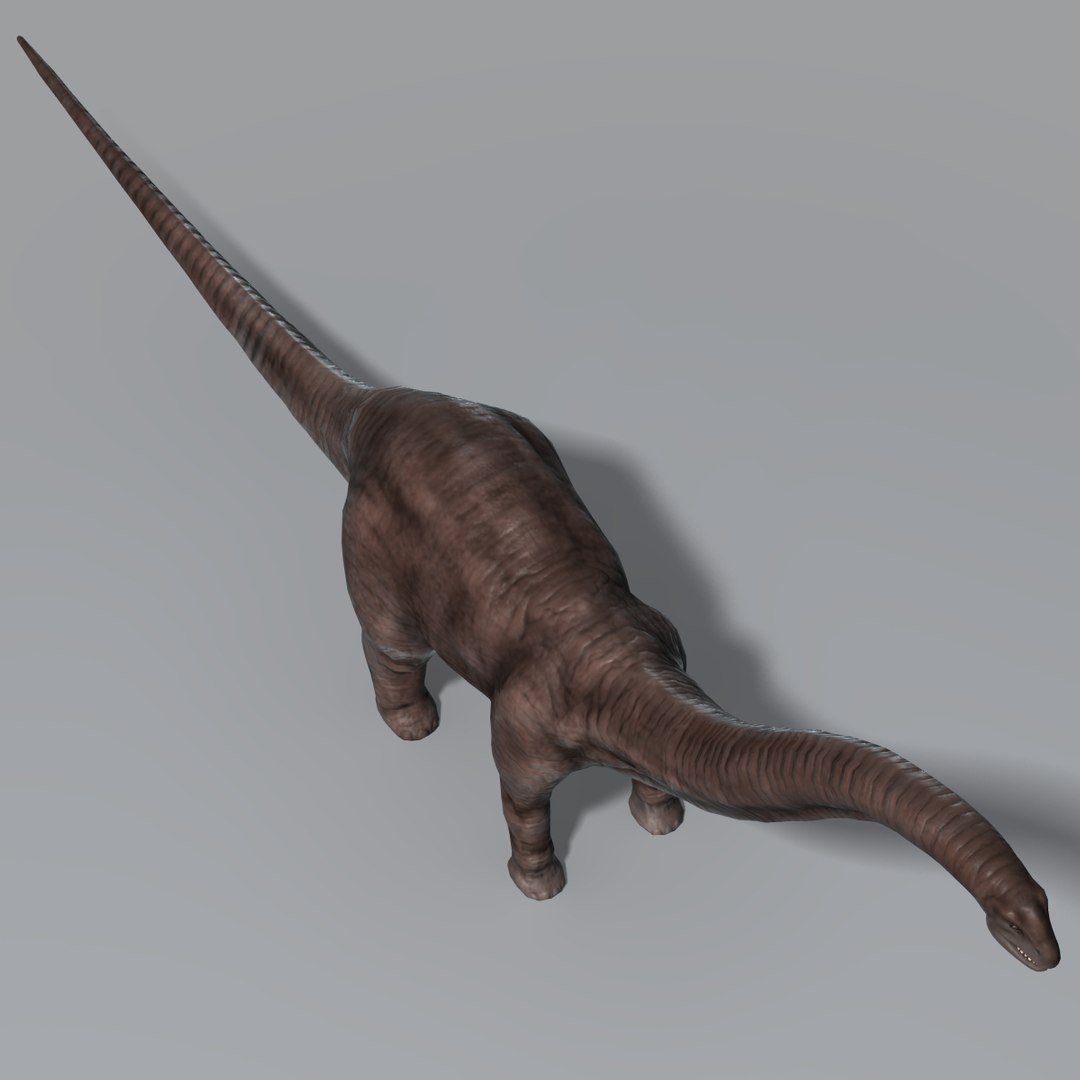 Brontosaurus Sauropod Herbivorous Max