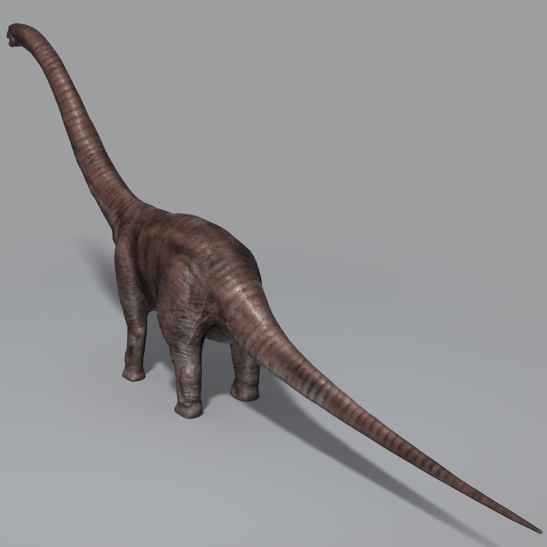 Brontosaurus Sauropod Herbivorous Max