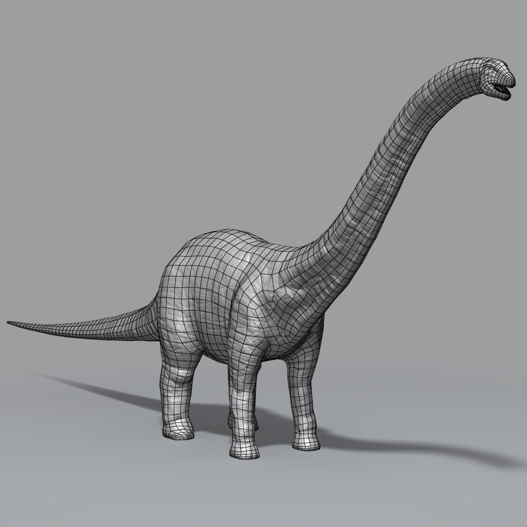 Brontosaurus Sauropod Herbivorous Max