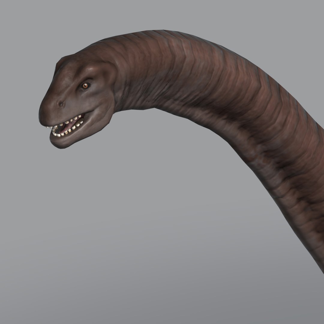 Brontosaurus Sauropod Herbivorous Max