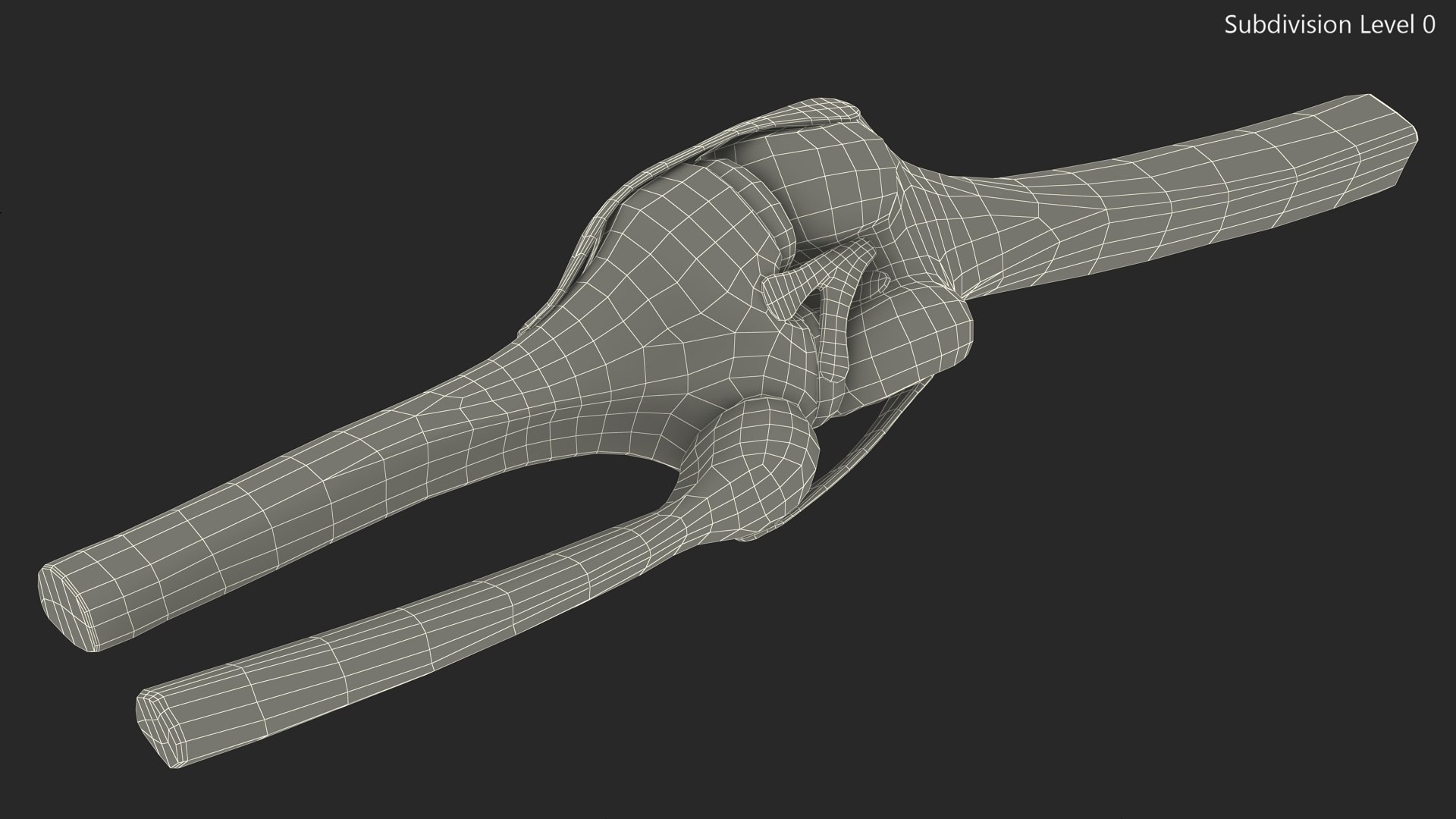 Knee Joint Model Rigged For Maya Model - TurboSquid 2253667