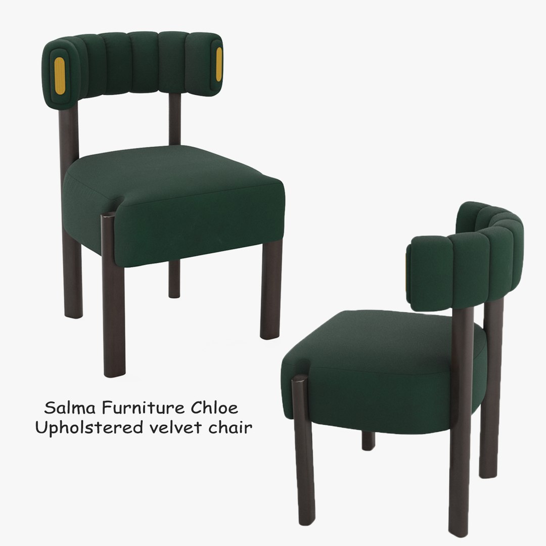 3D Salma Furniture Chloe Upholstered Velvet Chair - TurboSquid 2210846