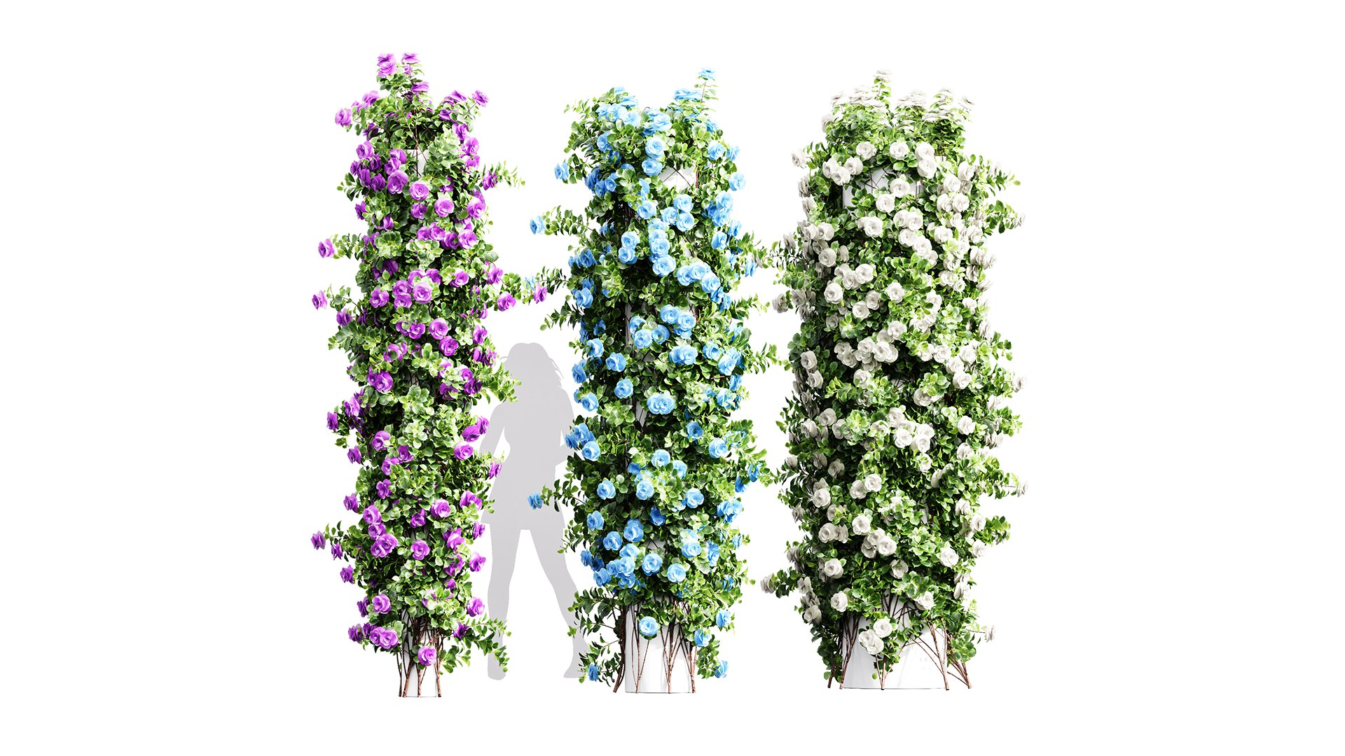 3D Model New Plant High Detail Climbing Roses Cylinder Columns ...