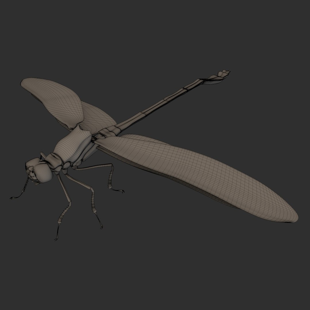 3d dragonfly animation