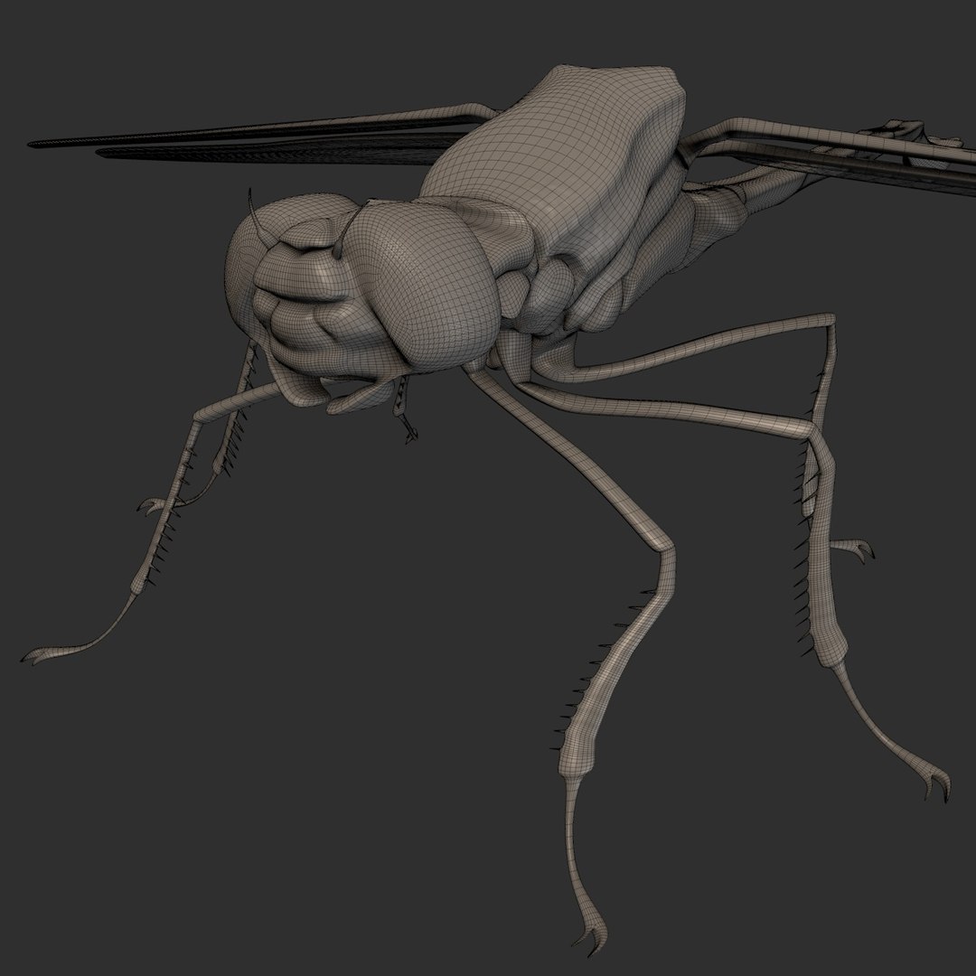 3d dragonfly animation