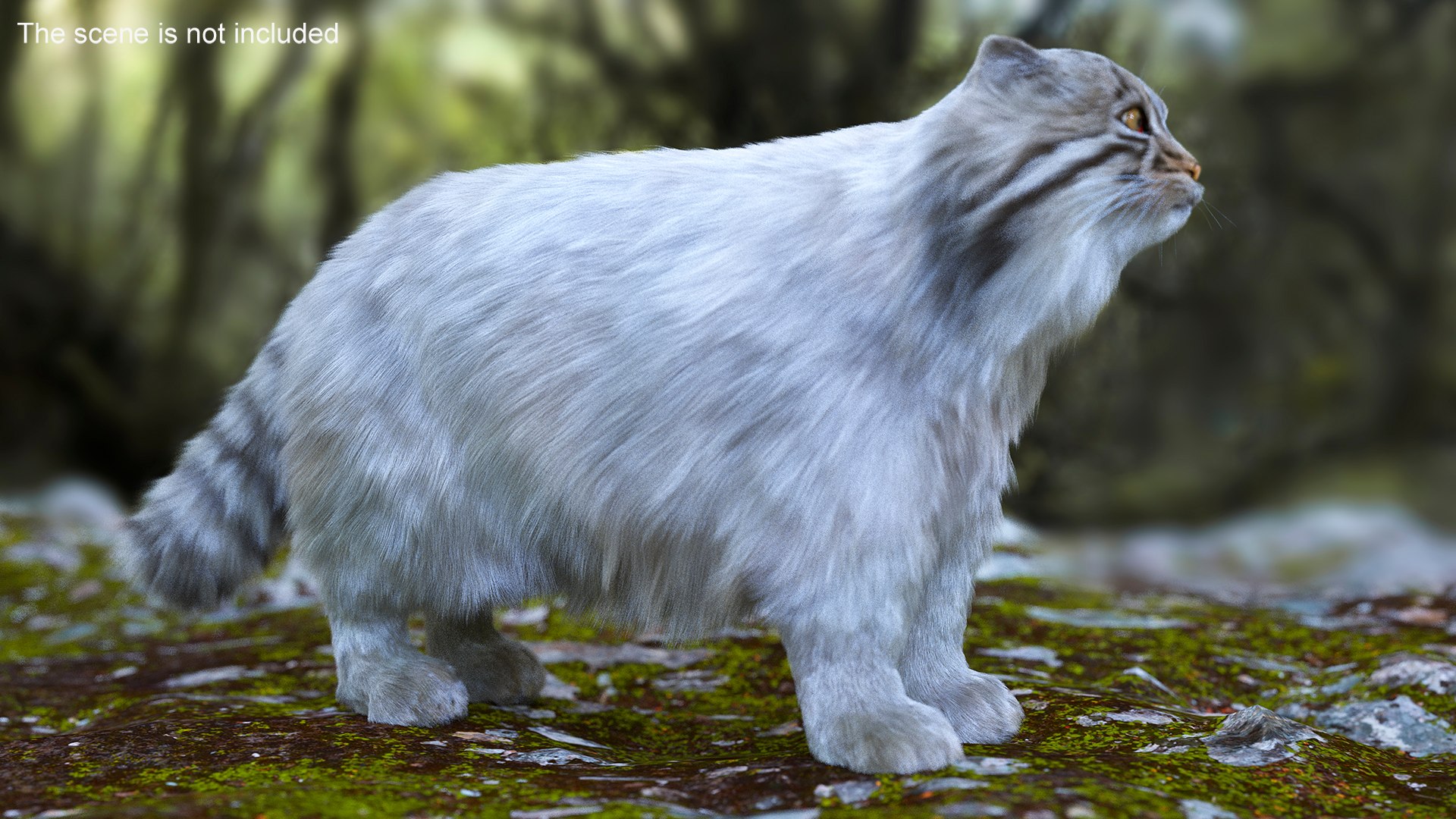 Pallas Cat Fur 3D - TurboSquid 2192782