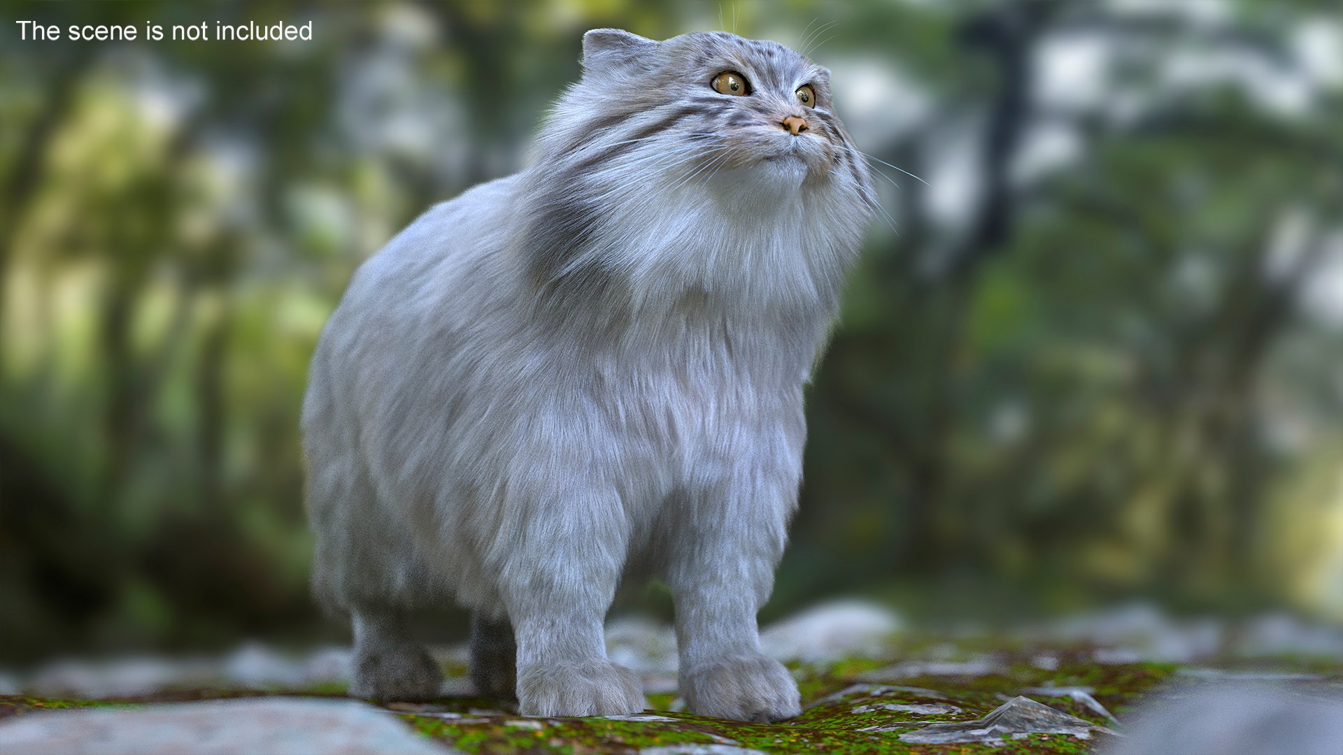 Pallas Cat Fur 3D - TurboSquid 2192782