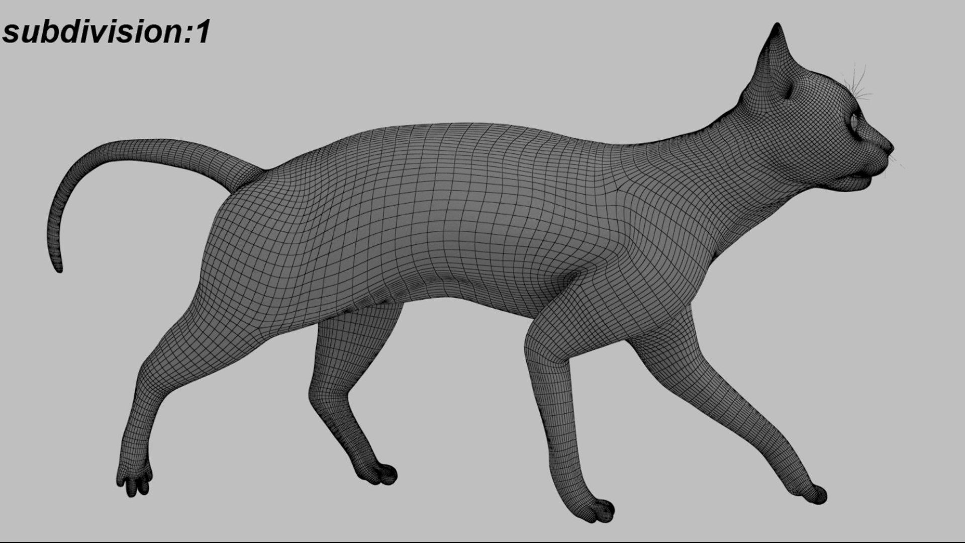3D Black Cat Rigged 3D - TurboSquid 2468825