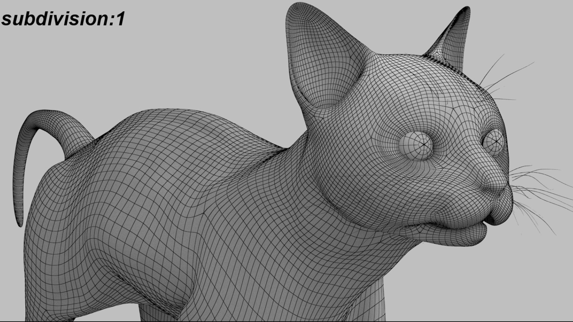 3D Black Cat Rigged 3D - TurboSquid 2468825