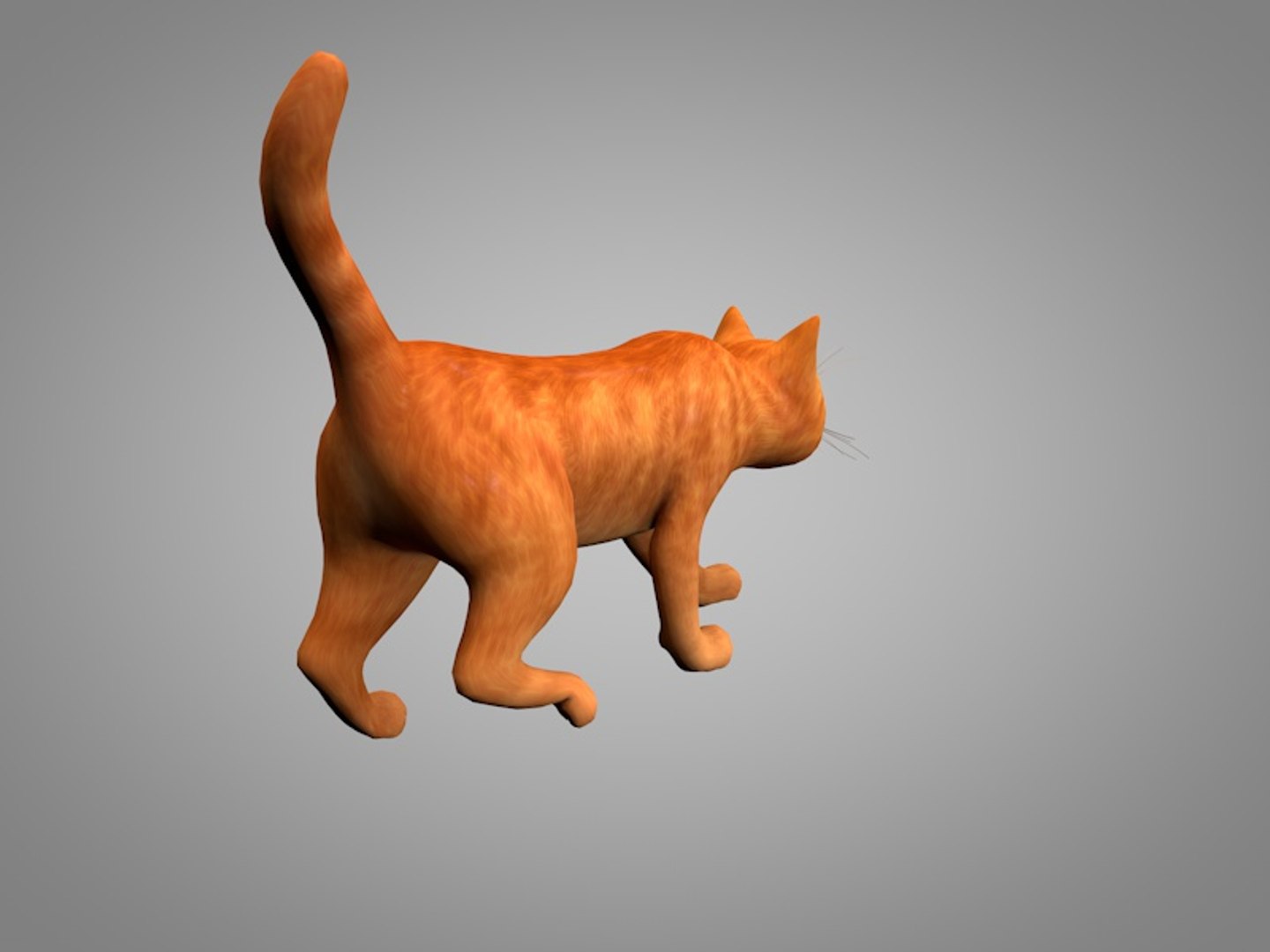 3D cat kitty model | 1142019 | TurboSquid