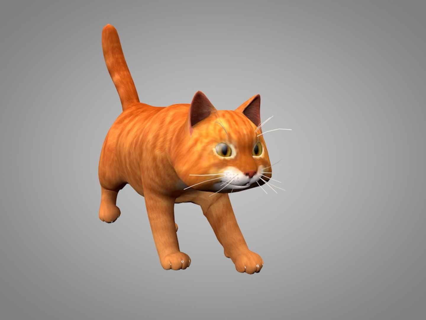 3D cat kitty model | 1142019 | TurboSquid