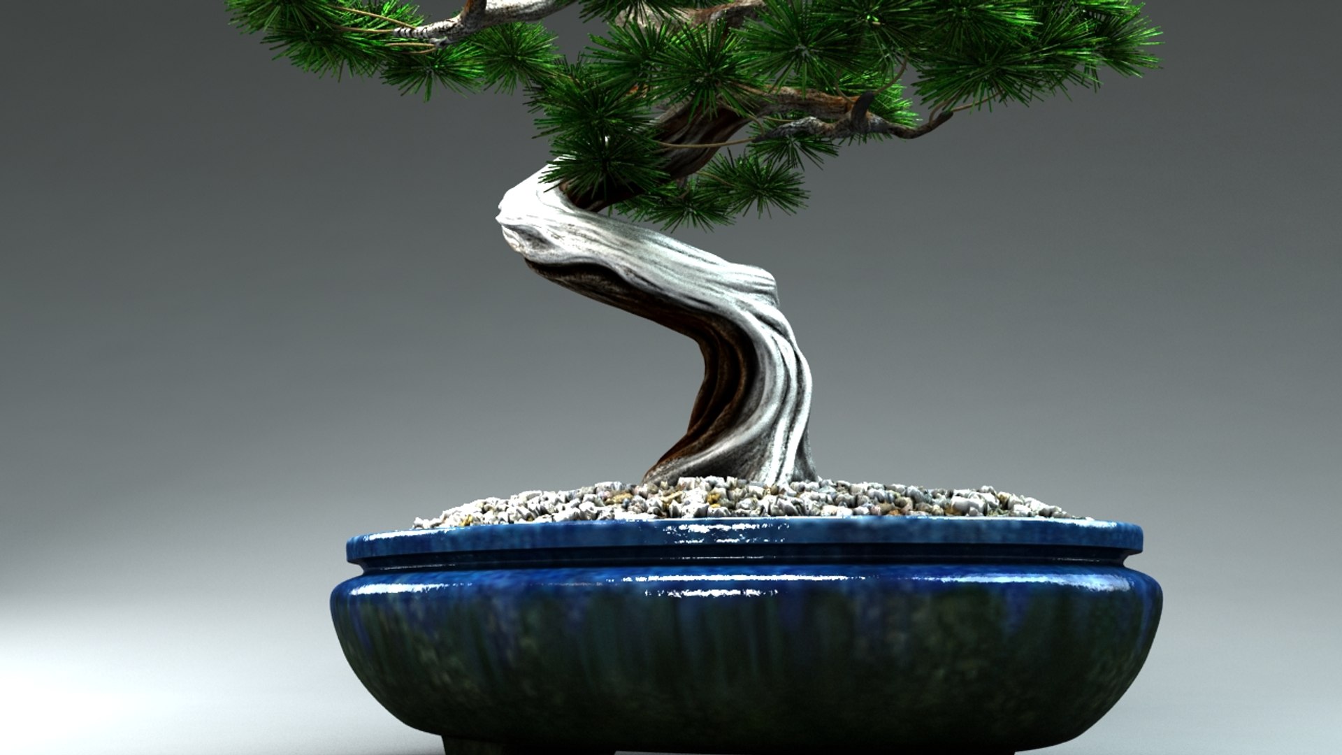 Bonsai Max