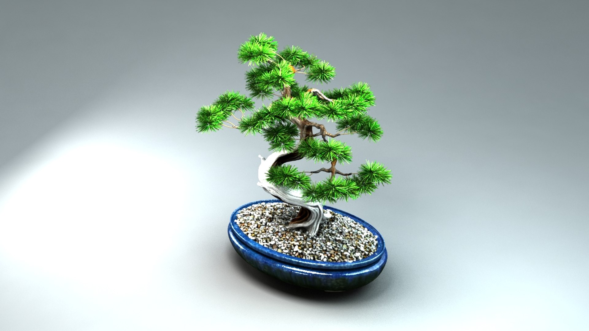 Bonsai Max