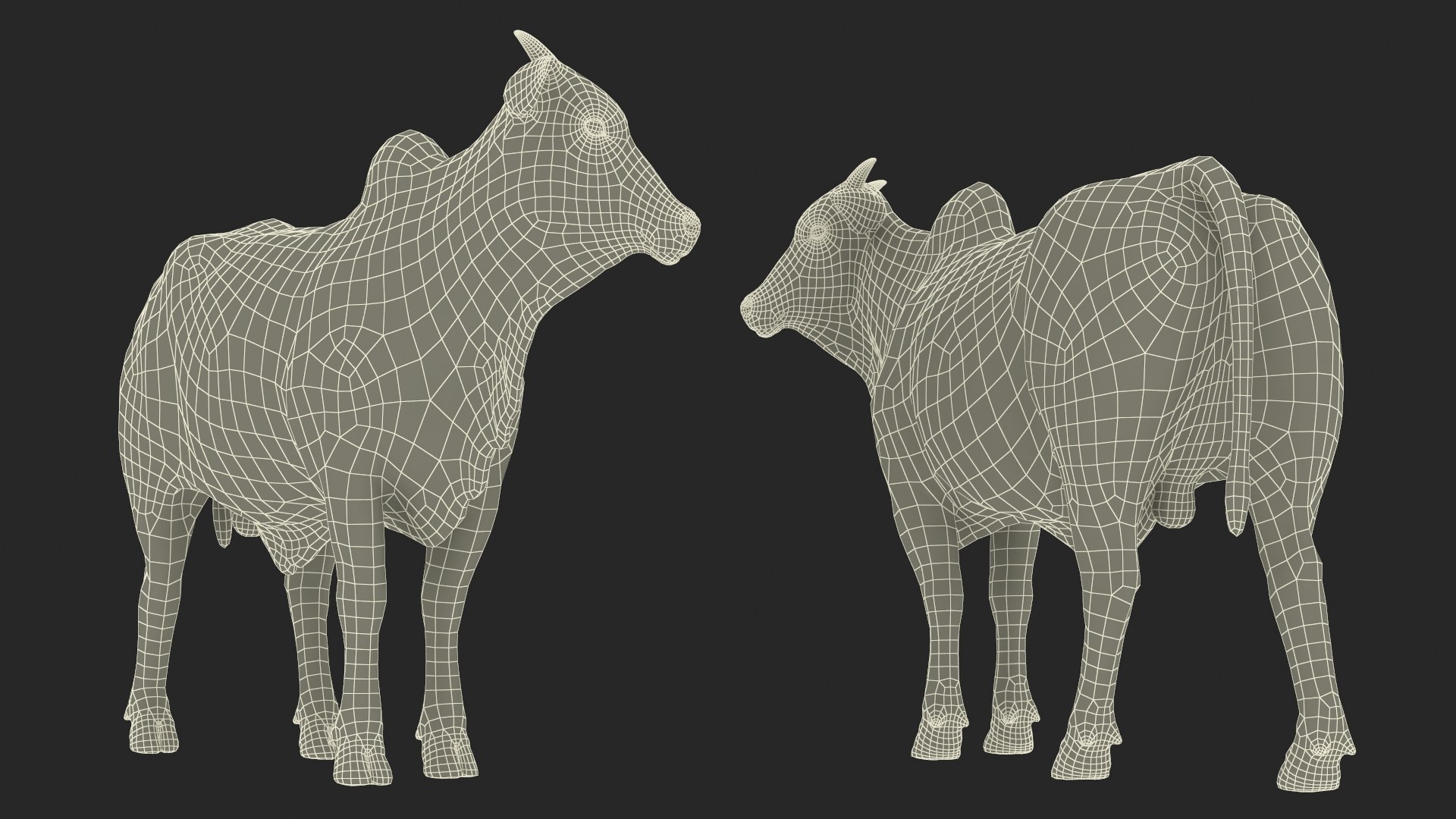 Zebu Cattle Male Looking Fur Model - TurboSquid 2320353